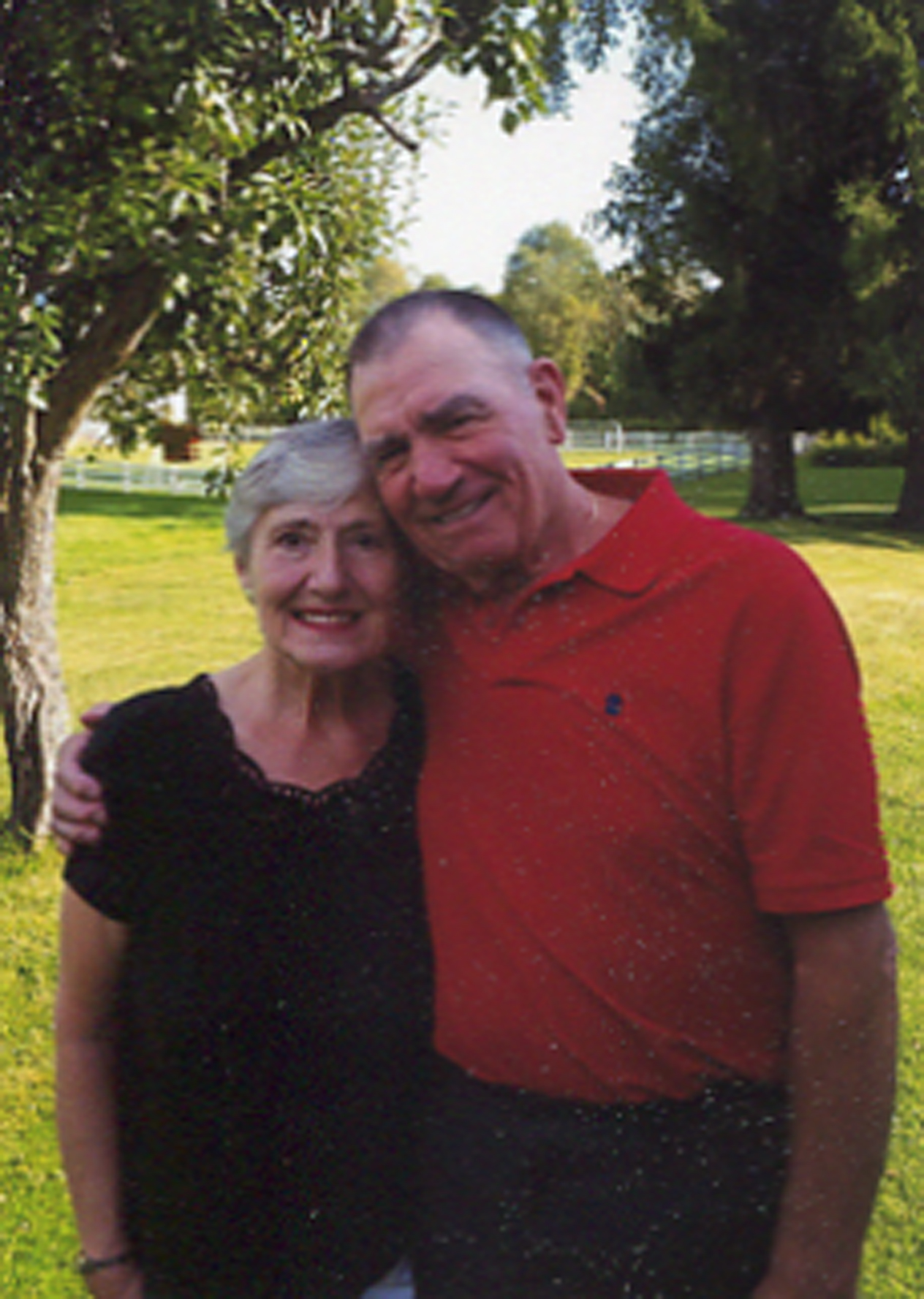 Mr. And Mrs. John Salvaggio | News, Sports, Jobs - Post Journal